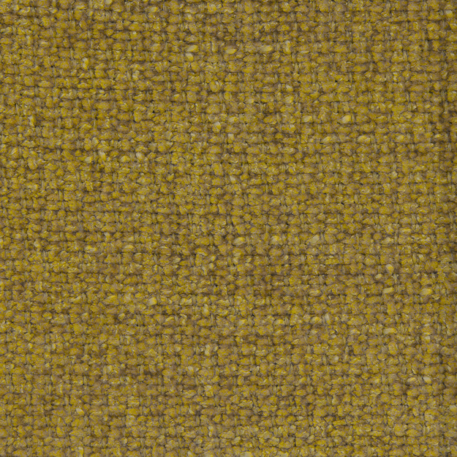 ROCHFORT – Linea Domo